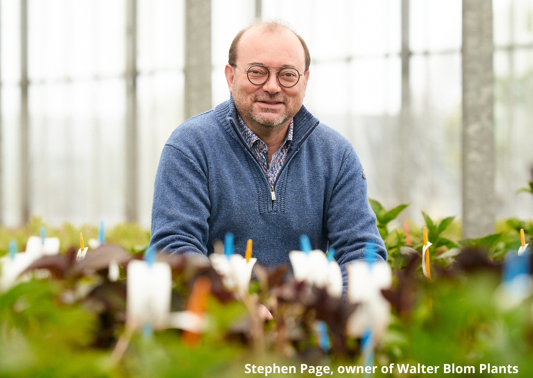 Home - Walter Blom Plants B.V.